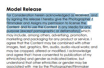 Important Considerations for Model-Released Stock Shoots (Sensitive ...