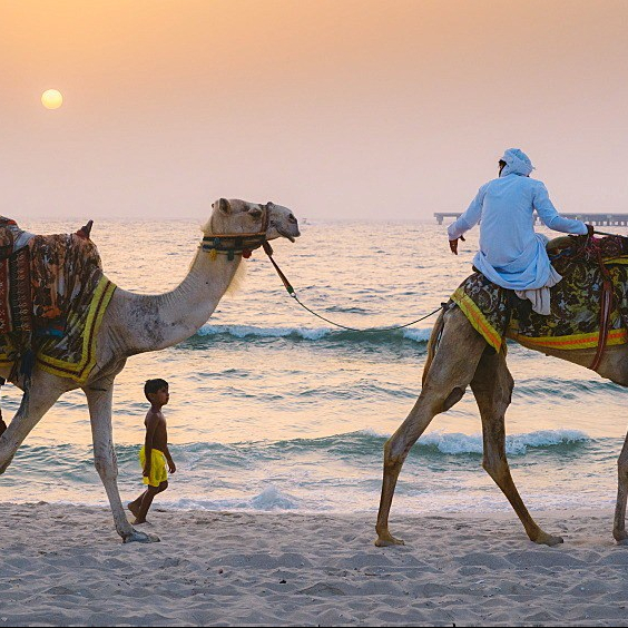 Interview with Luke Nester, Account Manager at Robert Harding ...