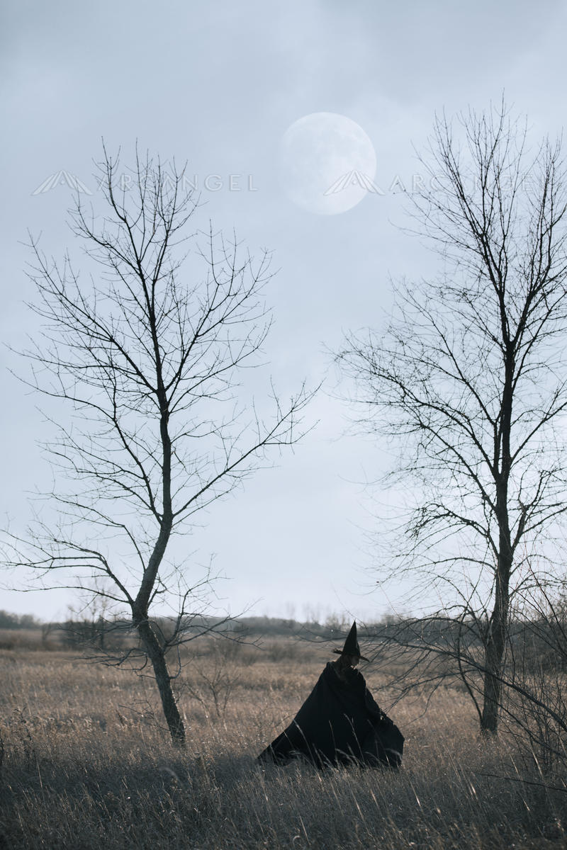 Interview with Abigail Miles, Veteran Book Cover Photographer at ...