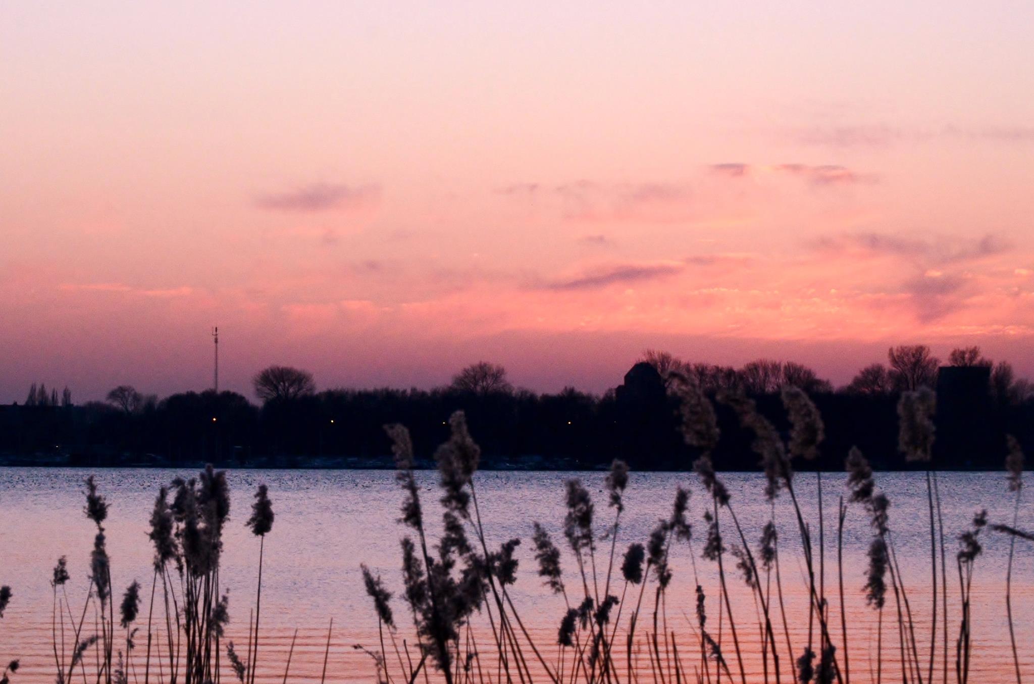 My Top 5 Stock Photography & Footage Regrets and Their Lessons ...
