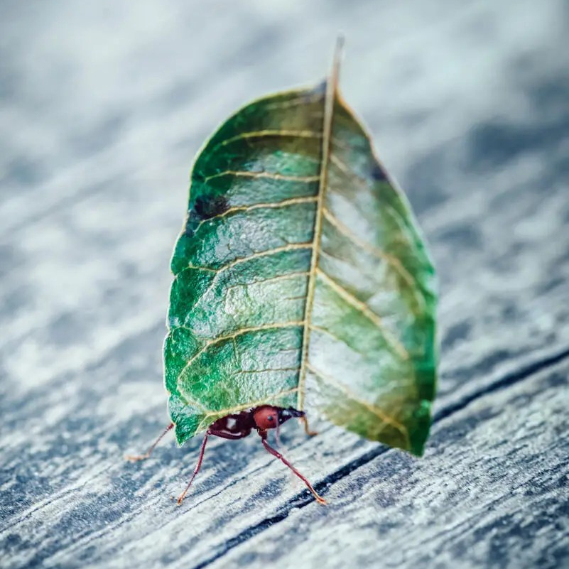 February 2024 Brutally Honest Earnings Report – Alexandre Rotenberg's ...