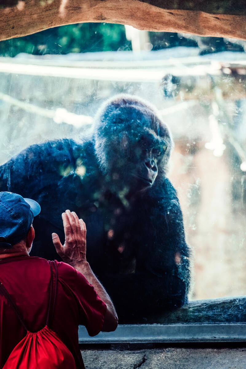 Breaking News: Getty Images and Shutterstock Discuss Potential Merger ...